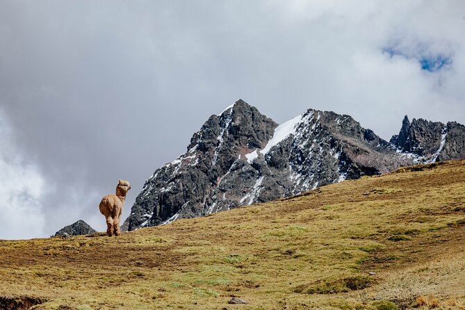 2 Day Hike In Rainbow Mountain And Red Valley - Traveler Feedback and Reviews