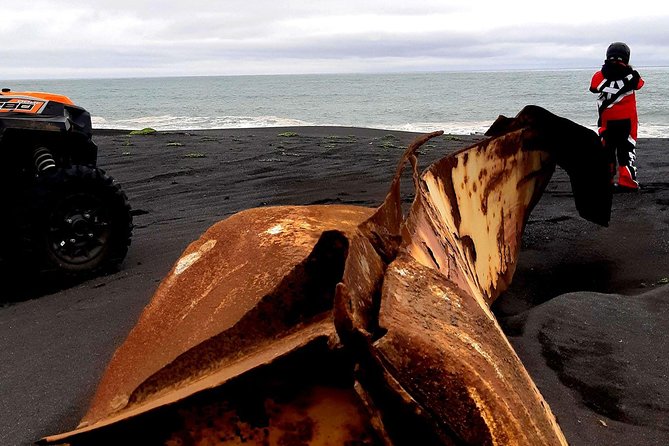 2-Hour Black Sand Beach Buggy Tour From Hella - Since You Asked