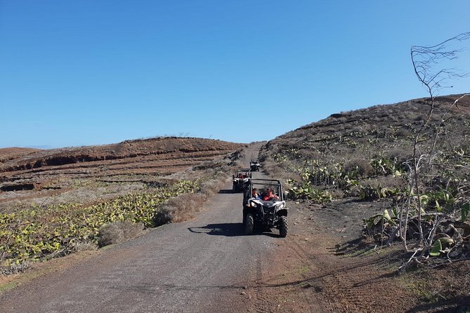 3-Hour Buggy Tour From Costa Teguise - Safety Considerations