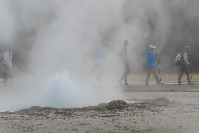 6-Mile Geyser Hiking Tour in Yellowstone With Lunch - Customer Reviews and Experiences