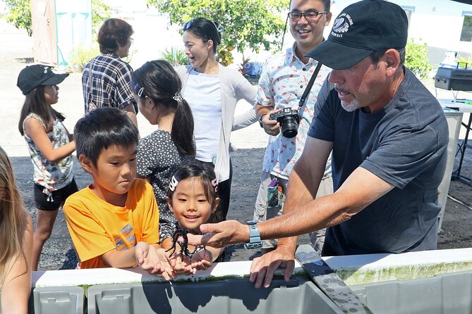 Abalone Farm Tour - Life Cycle of Abalone and Local Marine Ecology