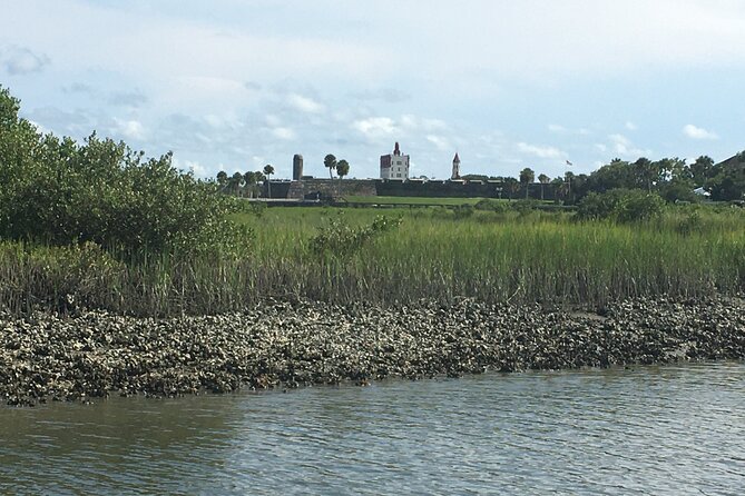 Adventure Boat Tours - One Hour Dolphin/Eco/History/Sightseeing Boat Tour - Dolphin Sightings and Scenic Views