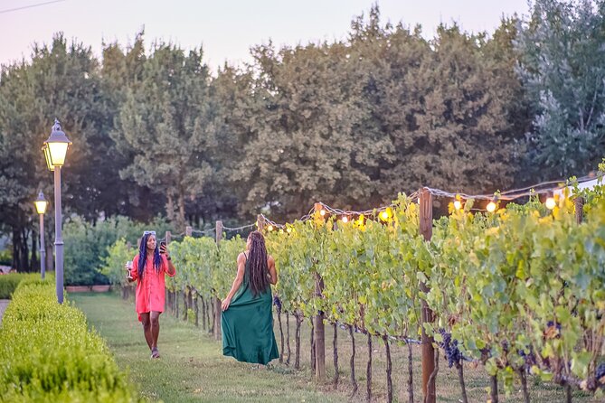 Afternoon in Siena and Chianti Wine Tour With Dinner From Florence - Wine Production and Tour at the Farmhouse