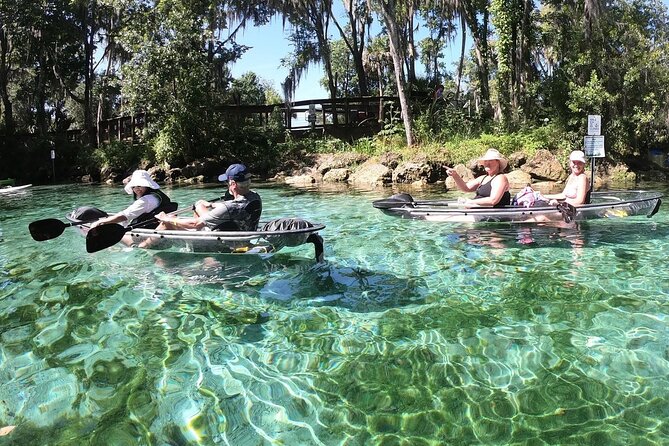 All Clear Kayak Springs & Manatees Tour Of Crystal River - Tour Provider and Pricing