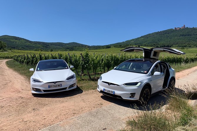 Alsace Private Tailored Tour in a Luxury Car - Preparing for Your Tour: Tips and Recommendations