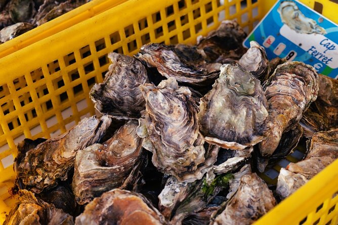 Arcachon Bay Full Day Trip From Bordeaux With Lunch and Pyla Dune - Recommendations for Visitors