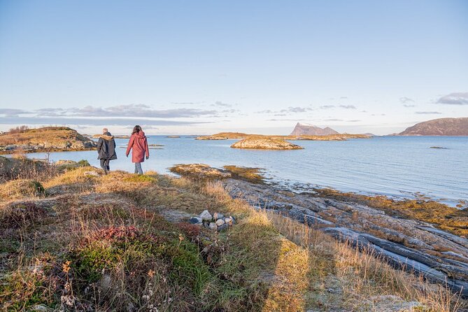 Arctic Roadtrip: Fjords With Scenic Picnic | Small Group 4x4 Van - Cookies and Hot Beverages