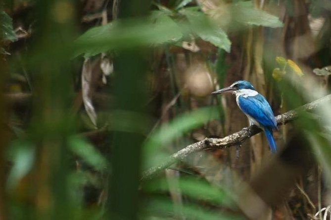 Bangkok Jungle Bike Tour Including Lunch - The Sum Up