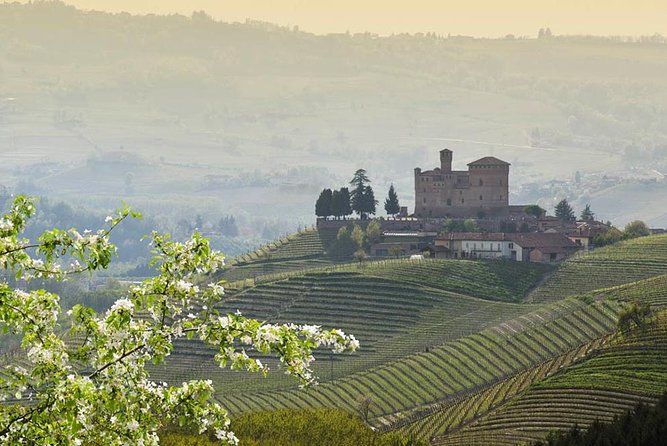 Barolo Wine and Food Tasting at Piedmont Region Winery - Convenient Transportation and Meeting Point