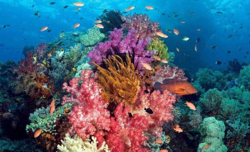 Best seller Phu Quoc Snorkeling Three Islands by Boat Tour - Real Traveler Perspectives