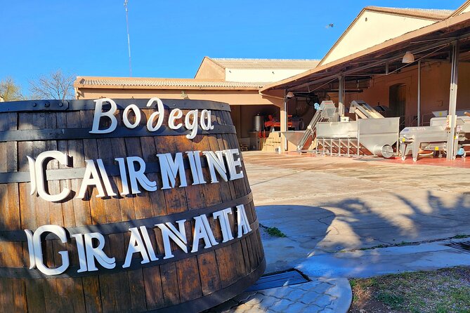 Bike Tour in Mendoza Wine Country - Logistics and Inclusions
