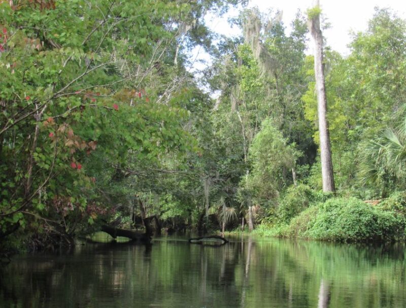 Blackwater Creek: Exclusive Nature Escape Kayak Adventure - FAQs about the Blackwater Creek Kayak Tour