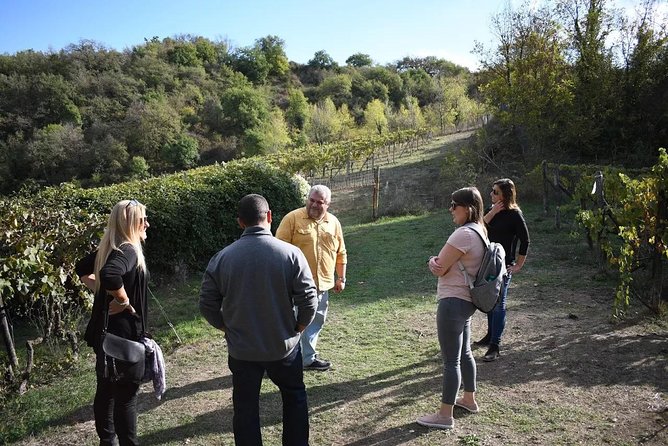 Brunello Vineyards Bus Tour - Unique Offerings