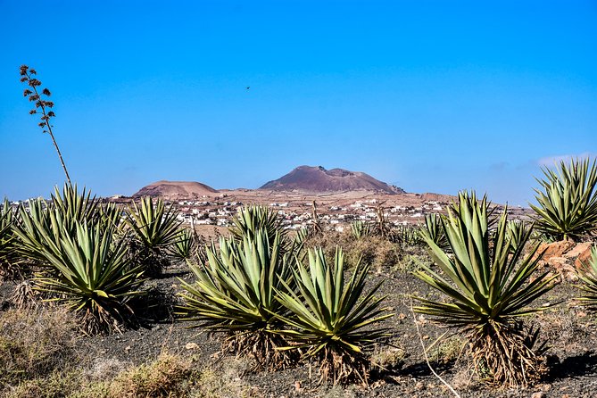 Buggy Fuerteventura Off-Road Excursions - Recommendations for Preparation