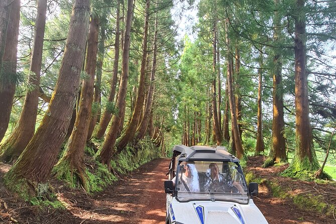 BUGGY TOUR - West / Center of the Island (Off-Road) - Unique Aspects of the Tour