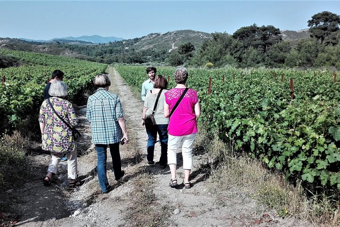 Butterflies Valley & Wine Tasting Experience Private Tour - Visitor Tips for Butterfly Valley