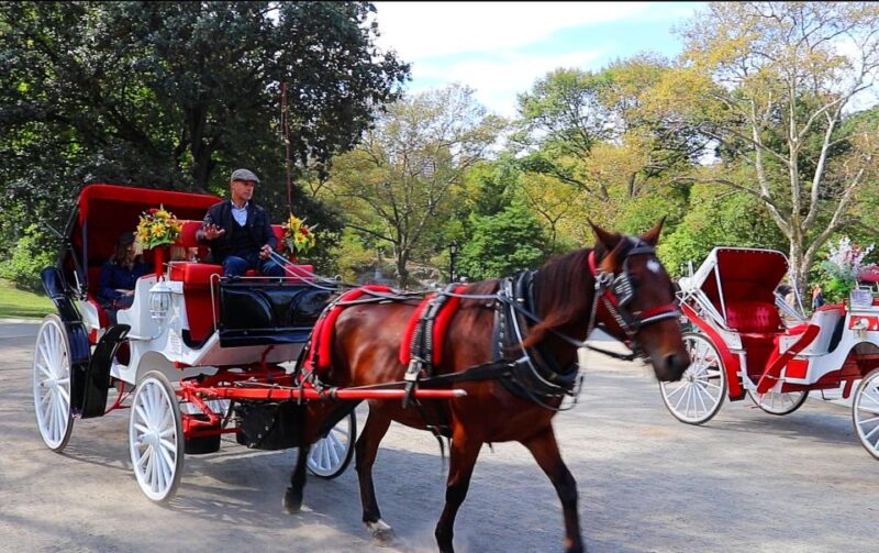 Central Park: Short Horse Carriage Ride (Up to 4 Adults) - The Sum Up