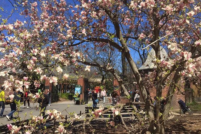 Central Park Walking Tour - Exploring Central Parks Landmarks and Treasures