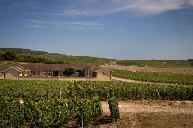 Champagne Tasting Tour Day Trip From Paris - Savoring French Cuisine