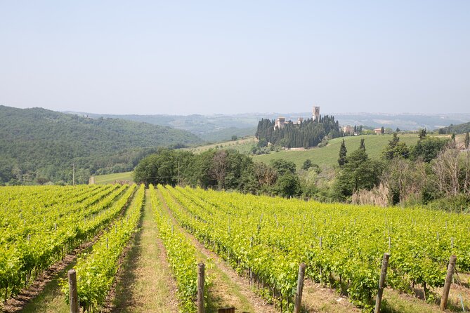Chianti Wine Tastings at Sunset Day Trip From Florence - Wine Tasting at Sunset