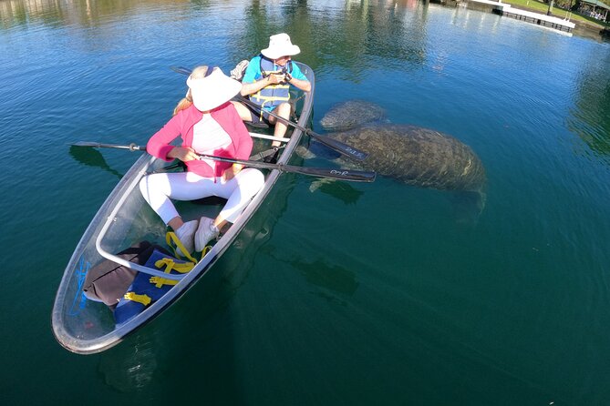 Clear Kayak Manatee Ecotour of Crystal River - Final Thoughts
