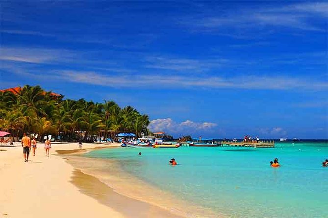 Cruise Ship Family Chocolate Factory, Sloths & Monkeys, Beach, Transportation - Tour Schedule and Duration
