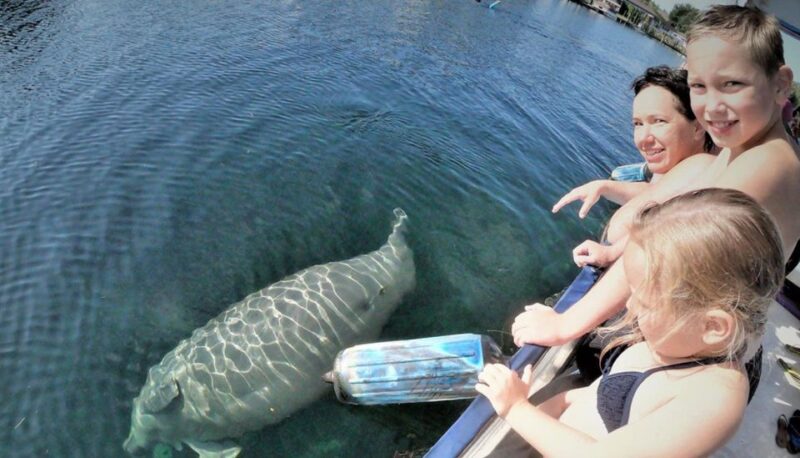 Crystal River: Manatee Viewing Cruise - FAQ