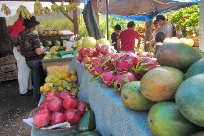 Custom Island Tour - for 4 to 5 People - up to 8 Hours - Private Tour of Oahu - Pricing and Booking