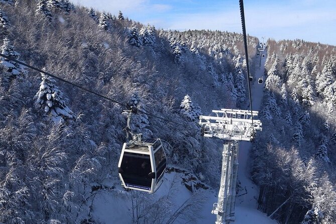 Daily Bursa Uludag Mountain & Cable Car Tour With Lunch From Istanbul - Experiencing the Cable Car