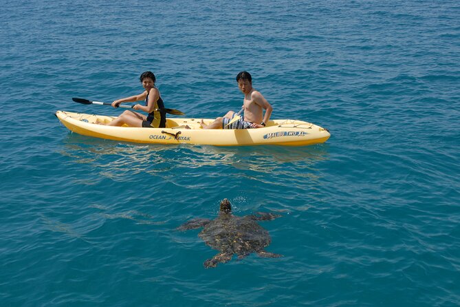 Deluxe Catamaran Swim With Dolphins in Oahu With Waterslide - Lunch and Refreshments