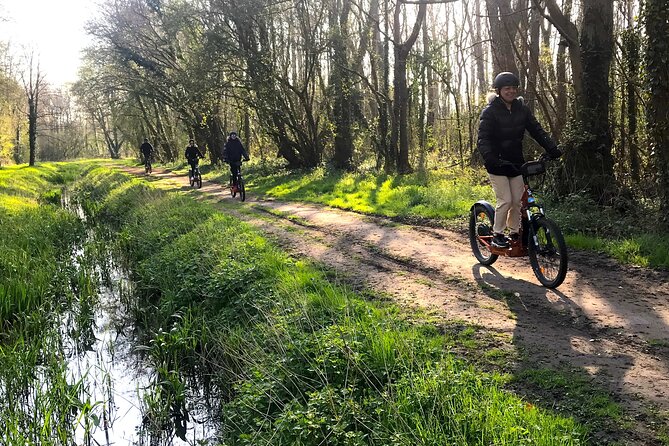 Discover Versailles on Electric 2-Wheelers (Yes to PRM) - Weathering the Elements: Staying Comfortable
