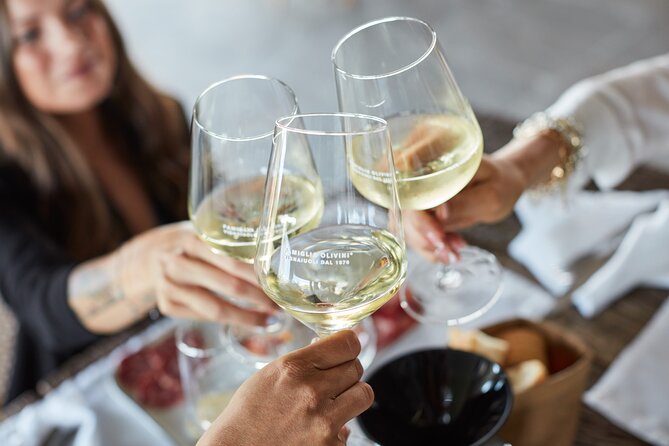 E-Bike Tour and Wine Tasting From Desenzano Inland - Exploring the Region