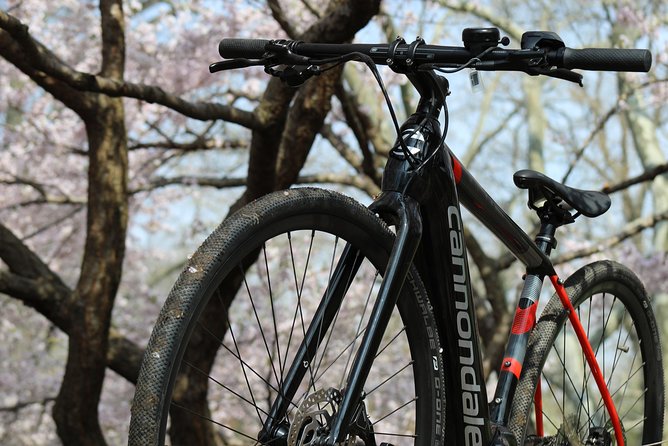 Electric Bike Tour of Manhattan and the Waterfront Greenway - FAQ