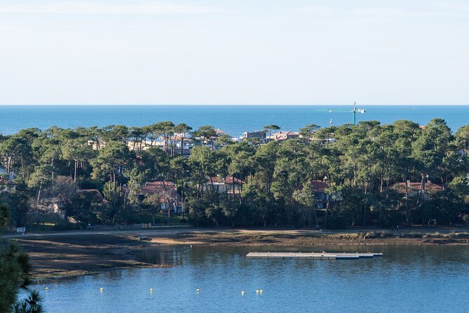 Electric Scooter Tour in Hossegor - What to Expect on the Tour