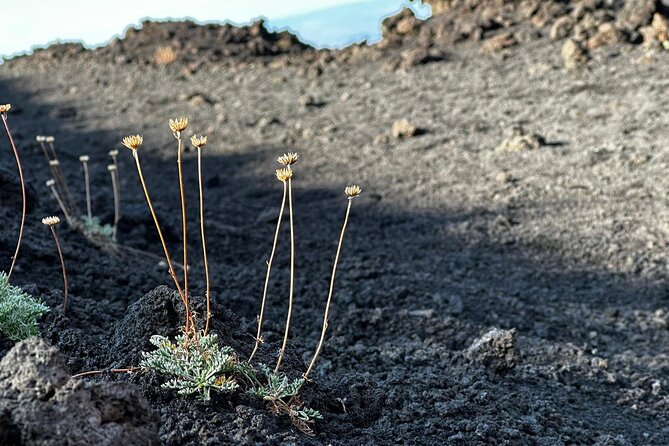 Etna Morning or Sunset - Trek & Lava Tunnel With Gear - Trekking and Lava Tunnels