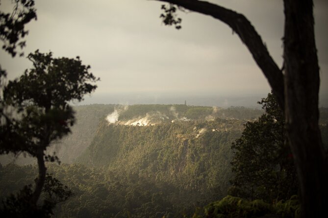 Evening Volcano Explorer From Hilo - Exploring Hawaiian Culture and Biology