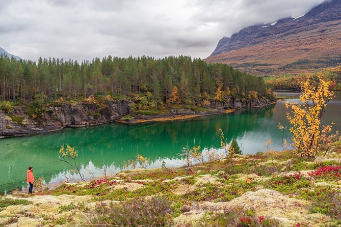 Explore the Norwegian Fjords and the Wildlife From Abisko - The Guide: Passion and Expertise