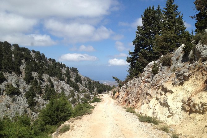 Explore the White Mountains of Crete - Meet Your Guides: Experts in Cretan History