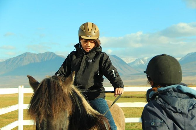 Family Friendly Horse Riding Tour in Skagafjörður - Scenic Highlights Along the Ride