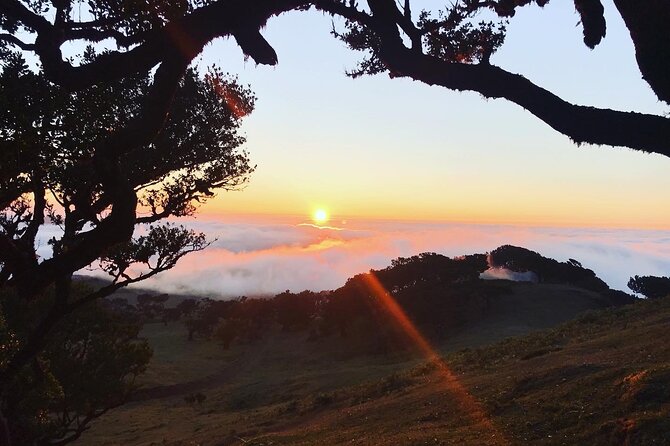 Fanal Forest Private Sunset Hike - Preparing for the Adventure