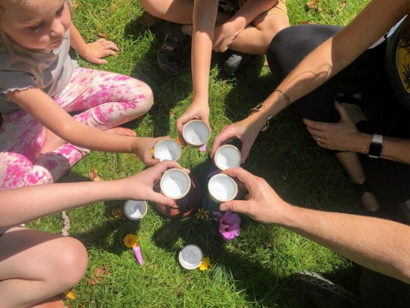 Forest Bathing & Nature Therapy Mini-Retreat - Final Thoughts: Who Should Consider This Tour?
