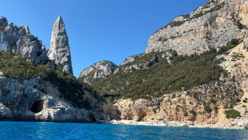 From Arbatax: RIB Tour in the Gulf of Orosei - Customer Feedback