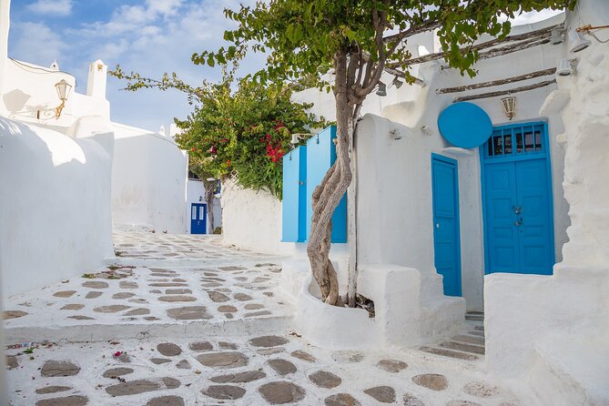 From Athens: Day Tour to Mykonos - Exploring the Scenic Chora