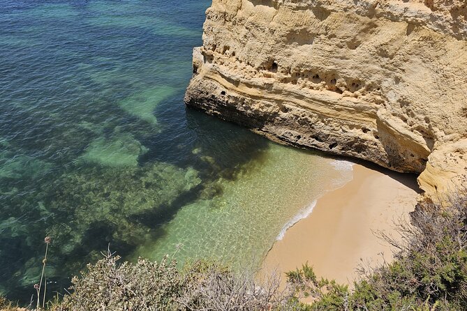 From Faro Tour Review: Stunning Coastal Experience - Scenic Locations Explored