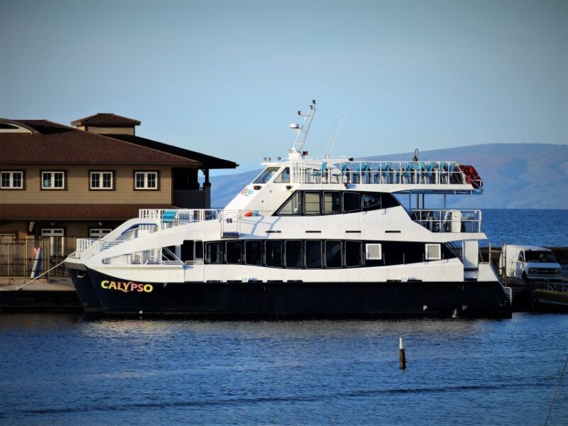 From Ma'alaea: Thanksgiving Dinner Cruise Aboard the Calypso - Why Choose This Experience?