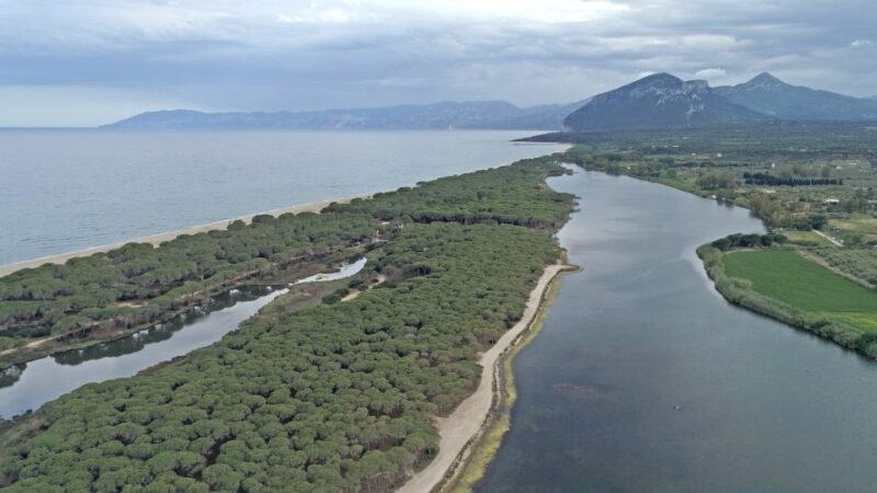 From Orosei: Archaeology, Wine Tasting & Landscapes Tour - Visit the Local Farm
