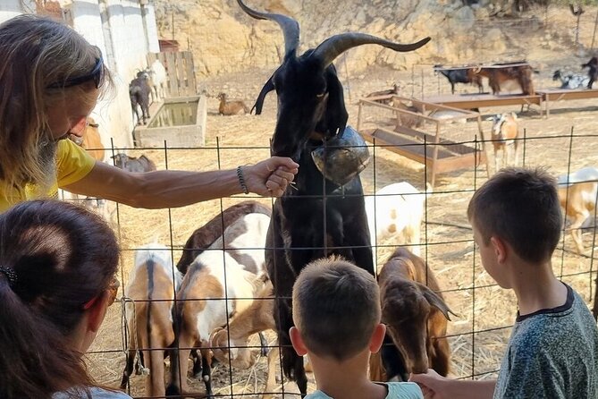 Full Day 4x4 Self-Drive Safari Tour in Crete With BBQ Lunch - Health and Safety Considerations