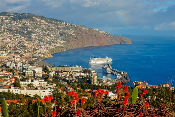 Full Day East of Madeira Tour Review - Customer Feedback and Experiences