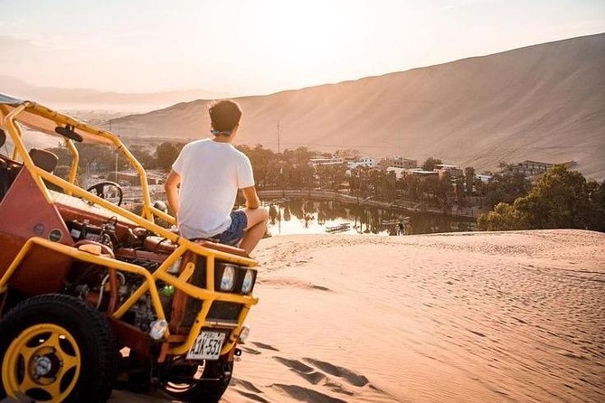 Full Day Paracas Ica and Huacachina From Lima All Included - Traveler Experiences and Feedback