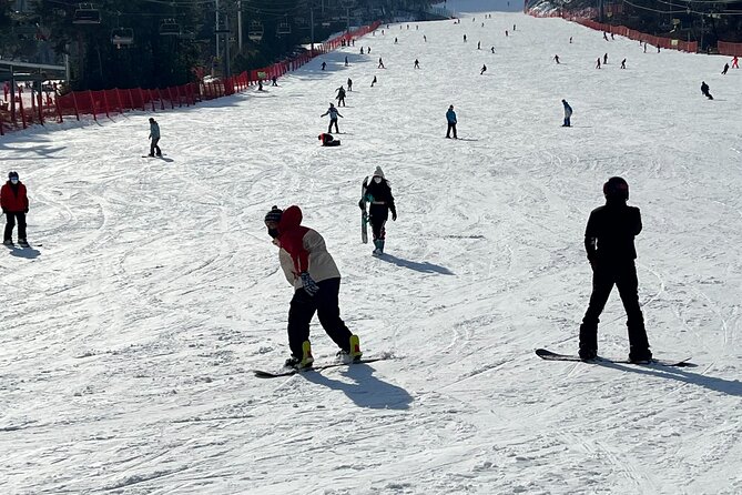 Full Day Ski Tour From Seoul to Yongpyong Ski Resort - Final Thoughts